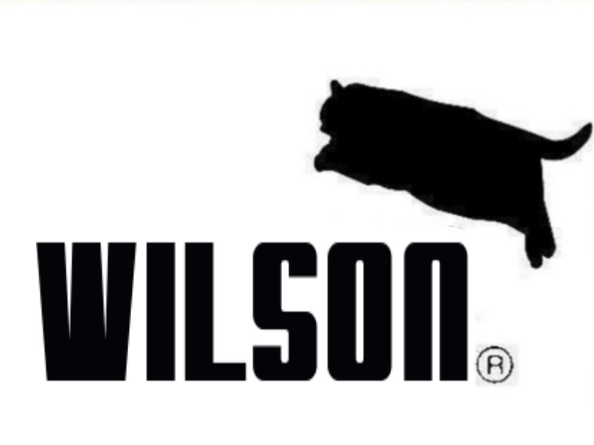 Wilson® | Scrolller