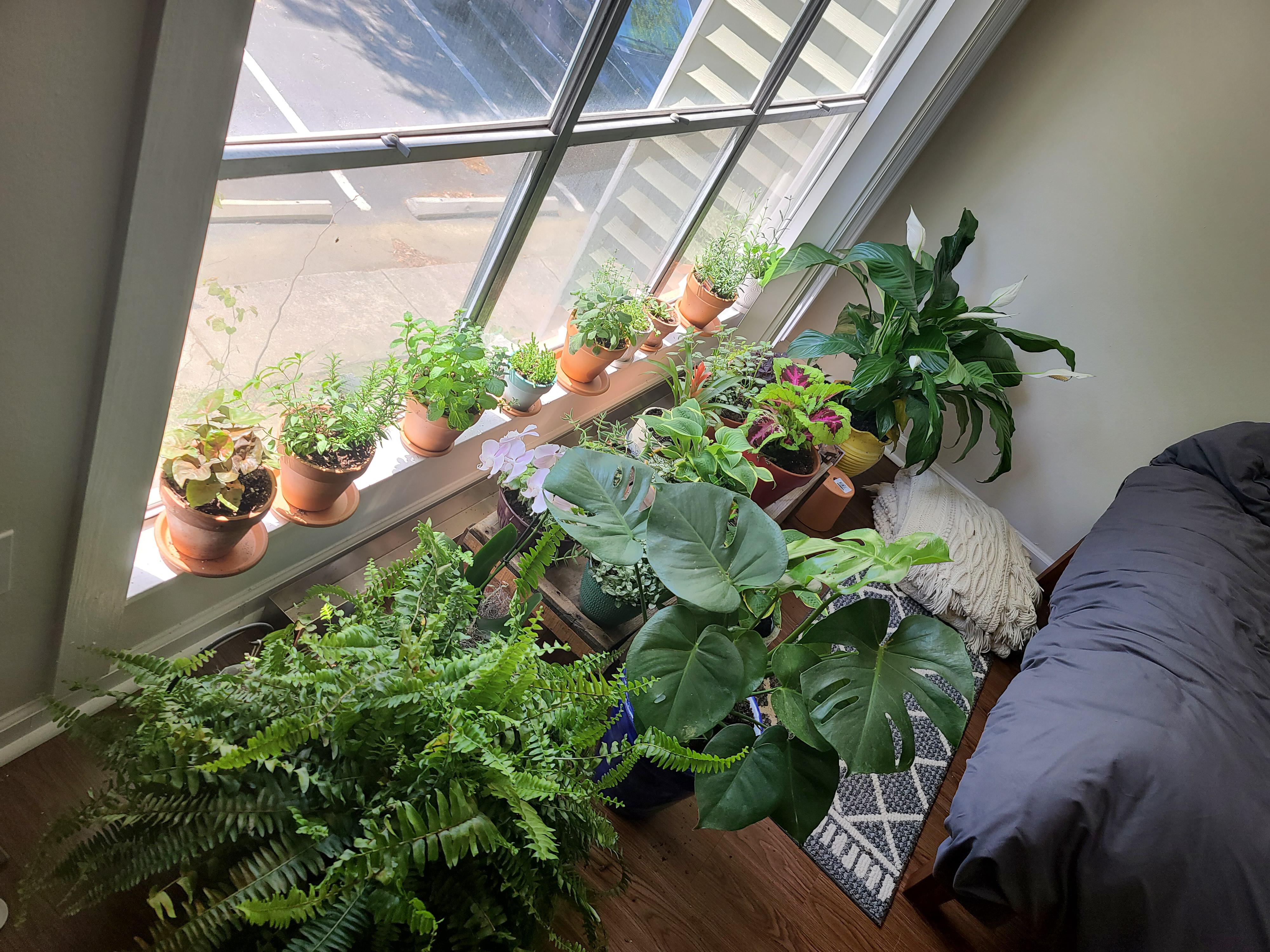 Window seat. | Scrolller