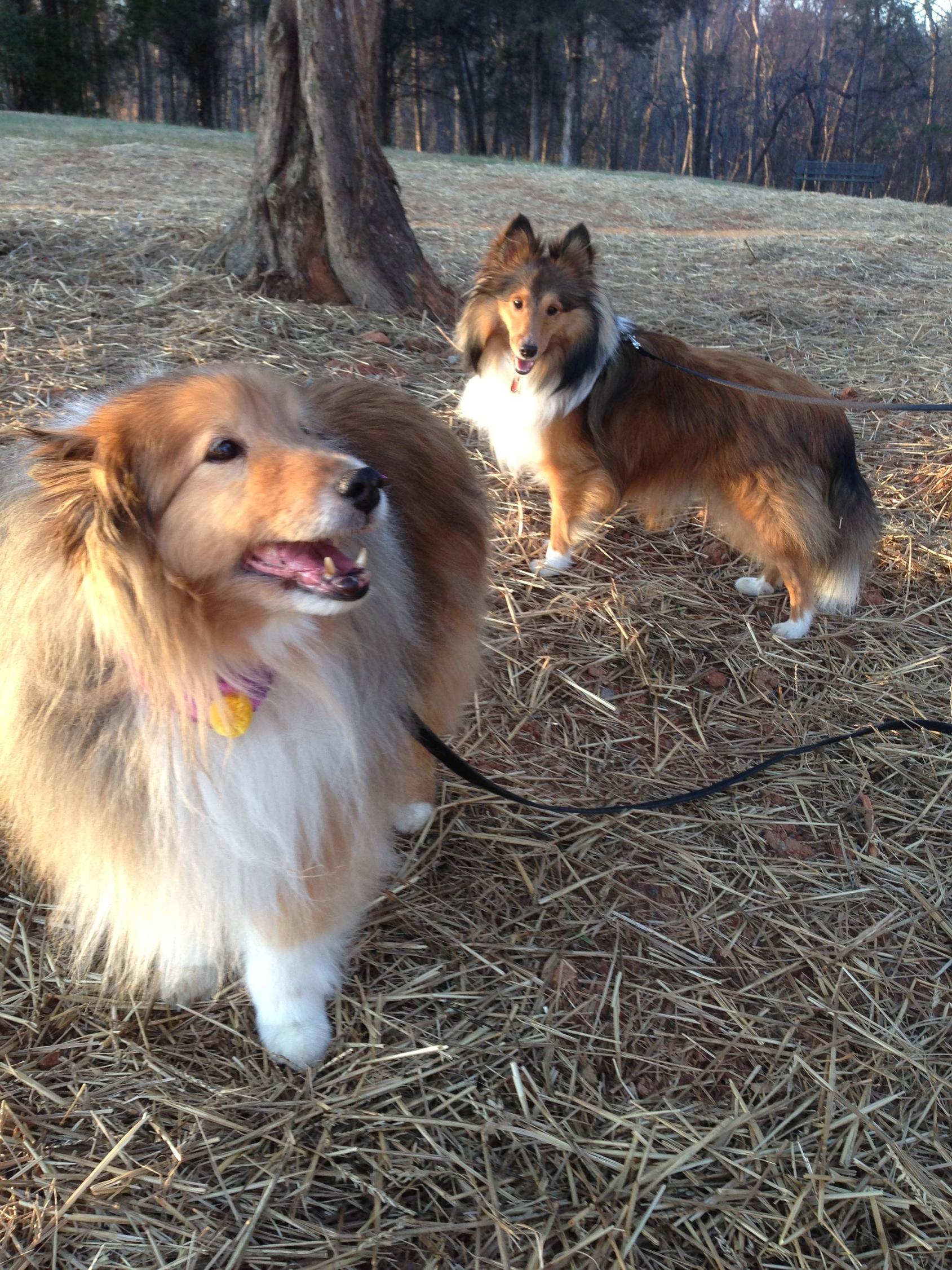 Winston and Sammy. | Scrolller