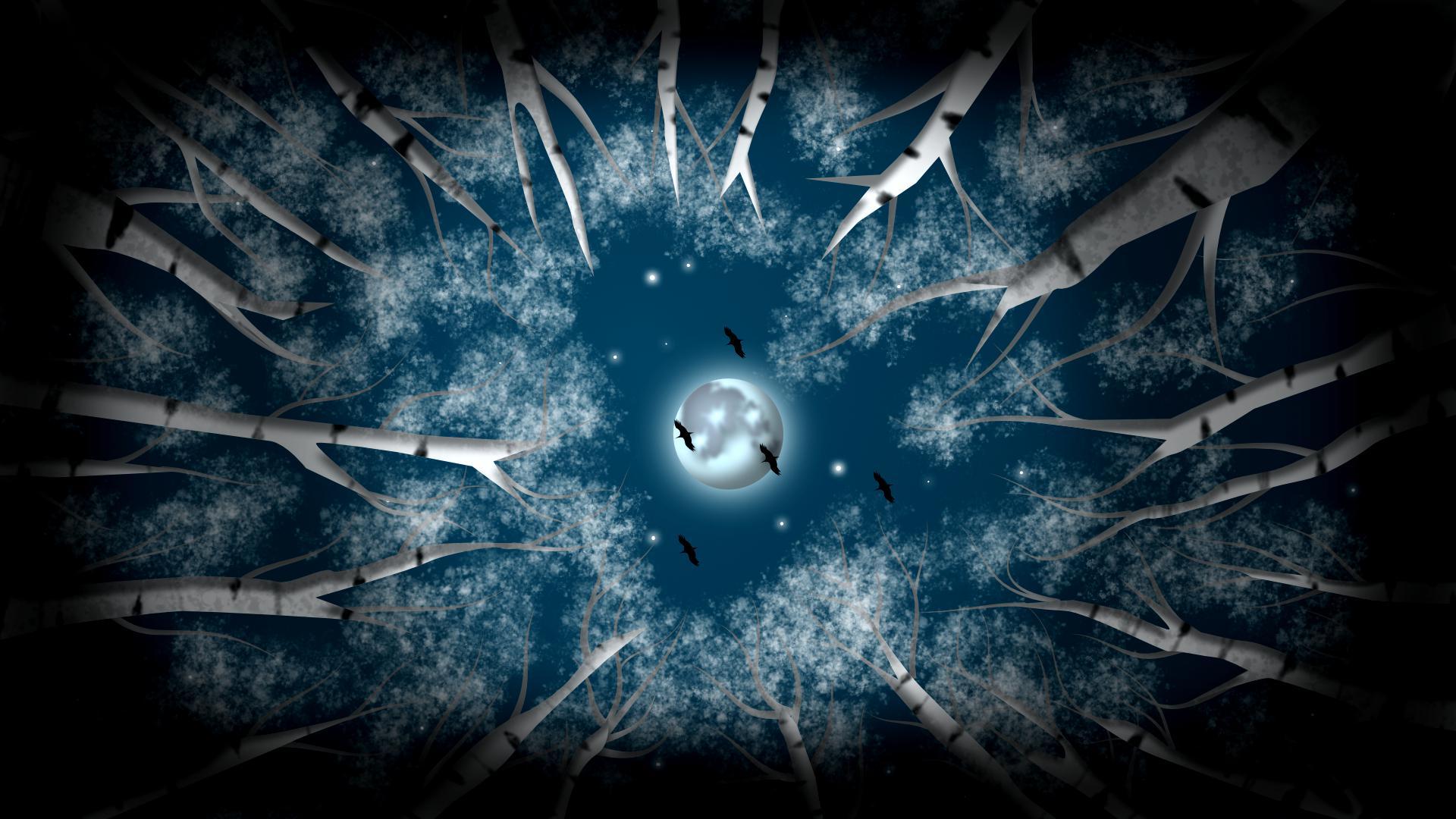 winter [1920x1080] | Scrolller