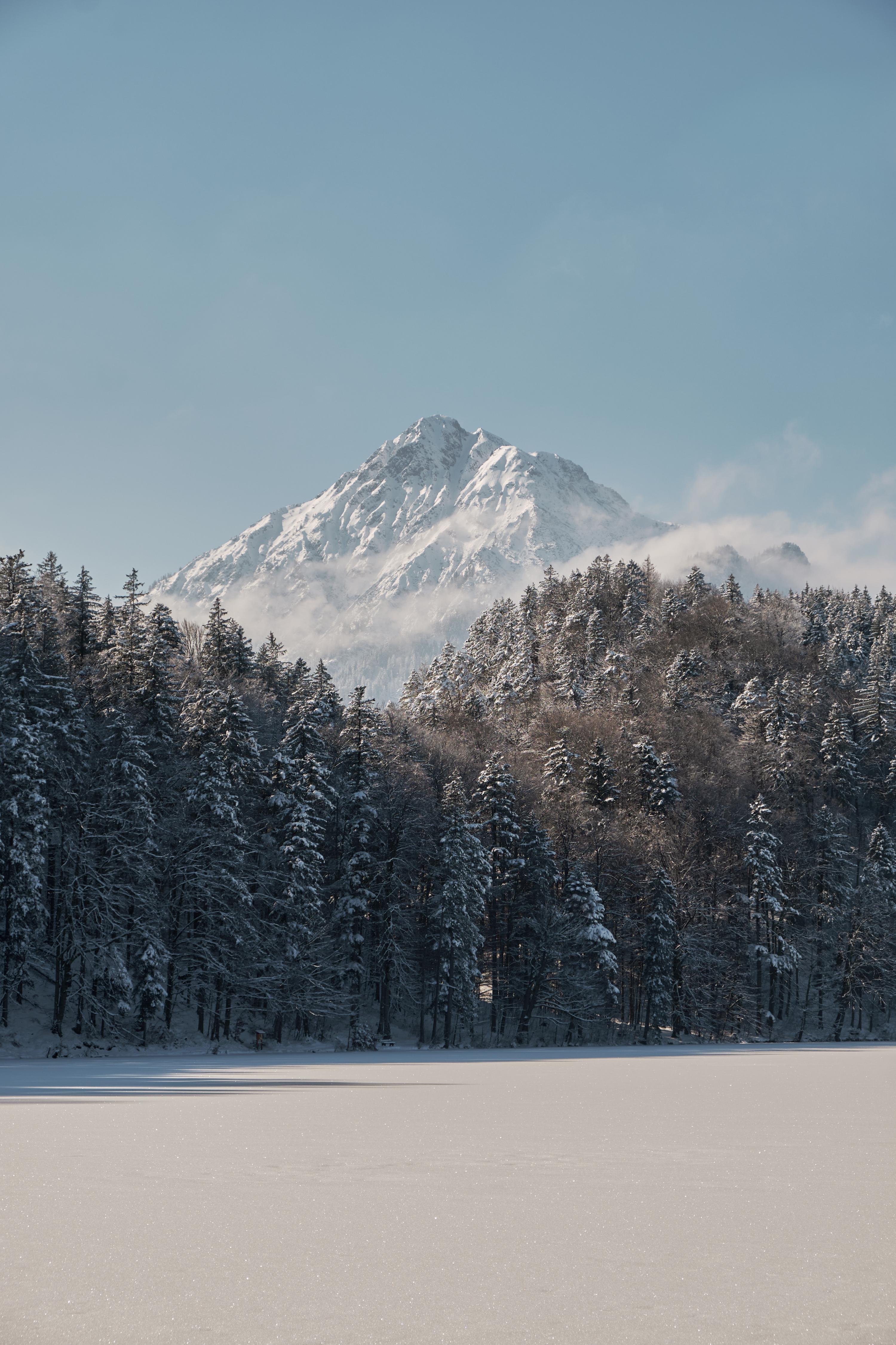 Winter Landscape | Scrolller