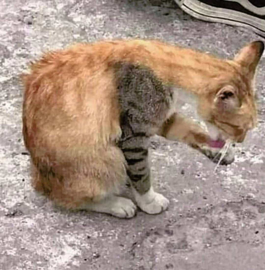 Winter Soldier? | Scrolller