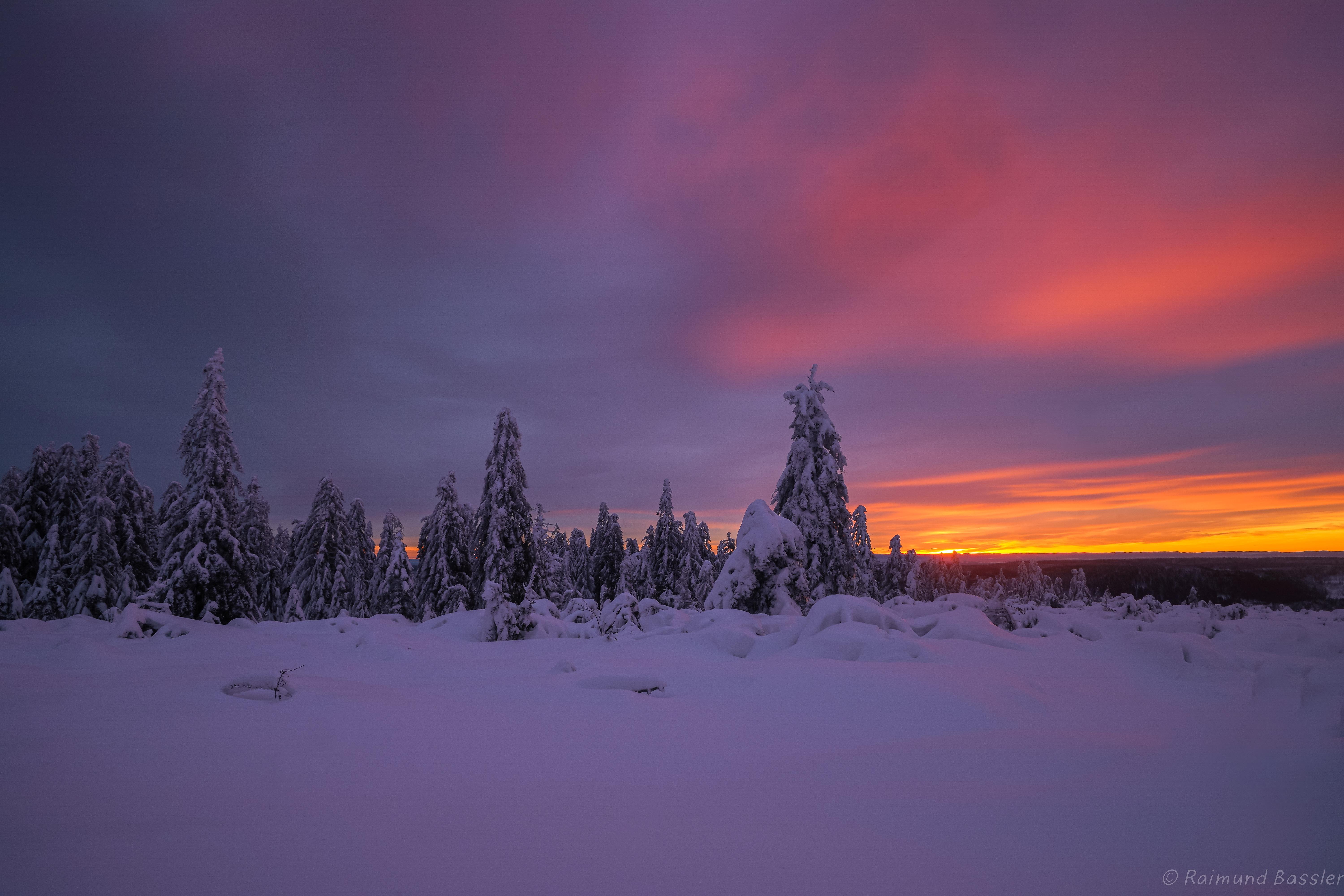 Wintermorning in the black forest | Scrolller