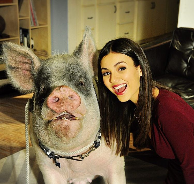 Victoria Justice | Scrolller