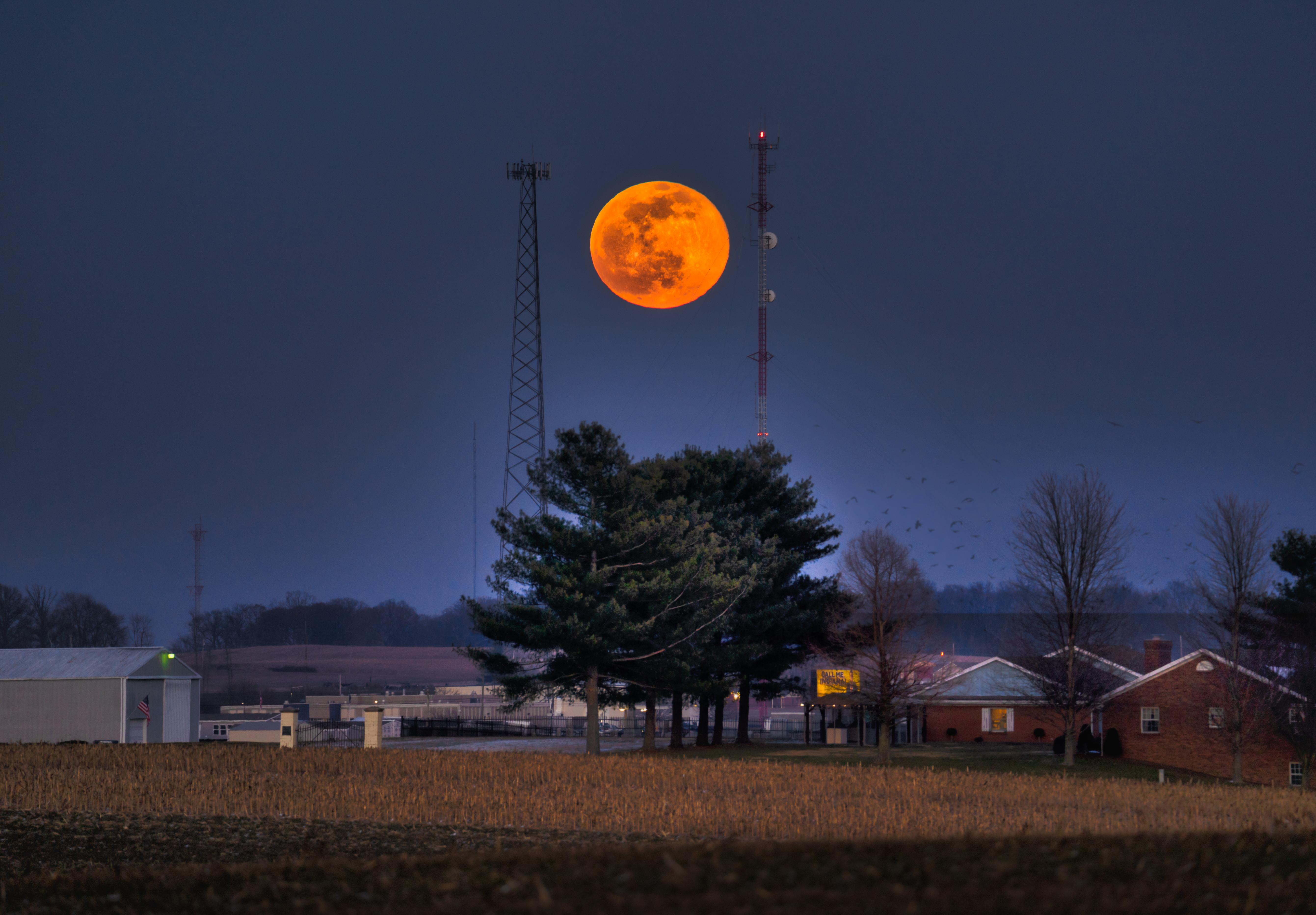 Wolf moon rising | Scrolller