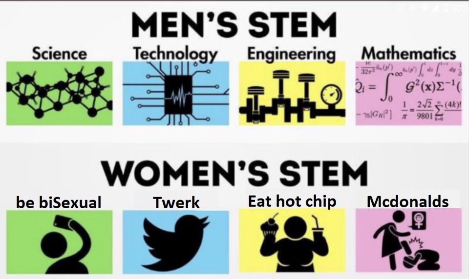 Women born after 1993 in STEM | Scrolller