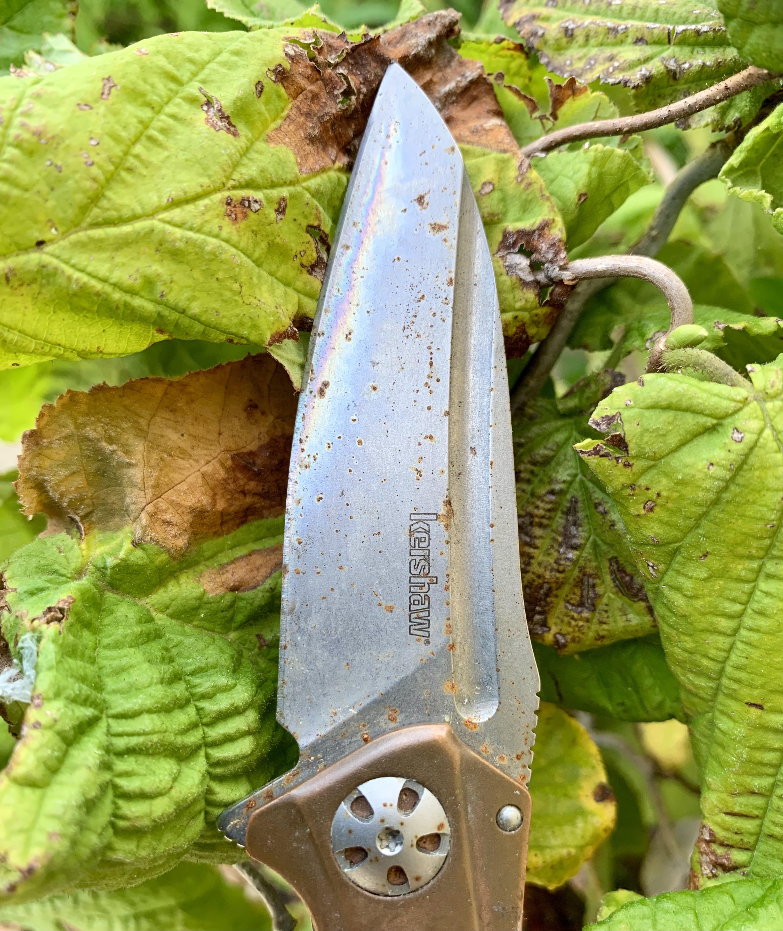 Wonderful Rust | Scrolller