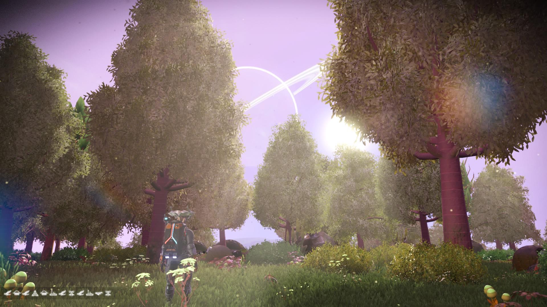 Wonderfull Earth like planet with water on Euclid | Scrolller