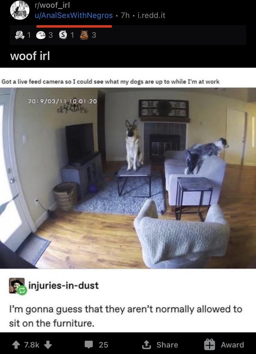 woof_irl | Scrolller