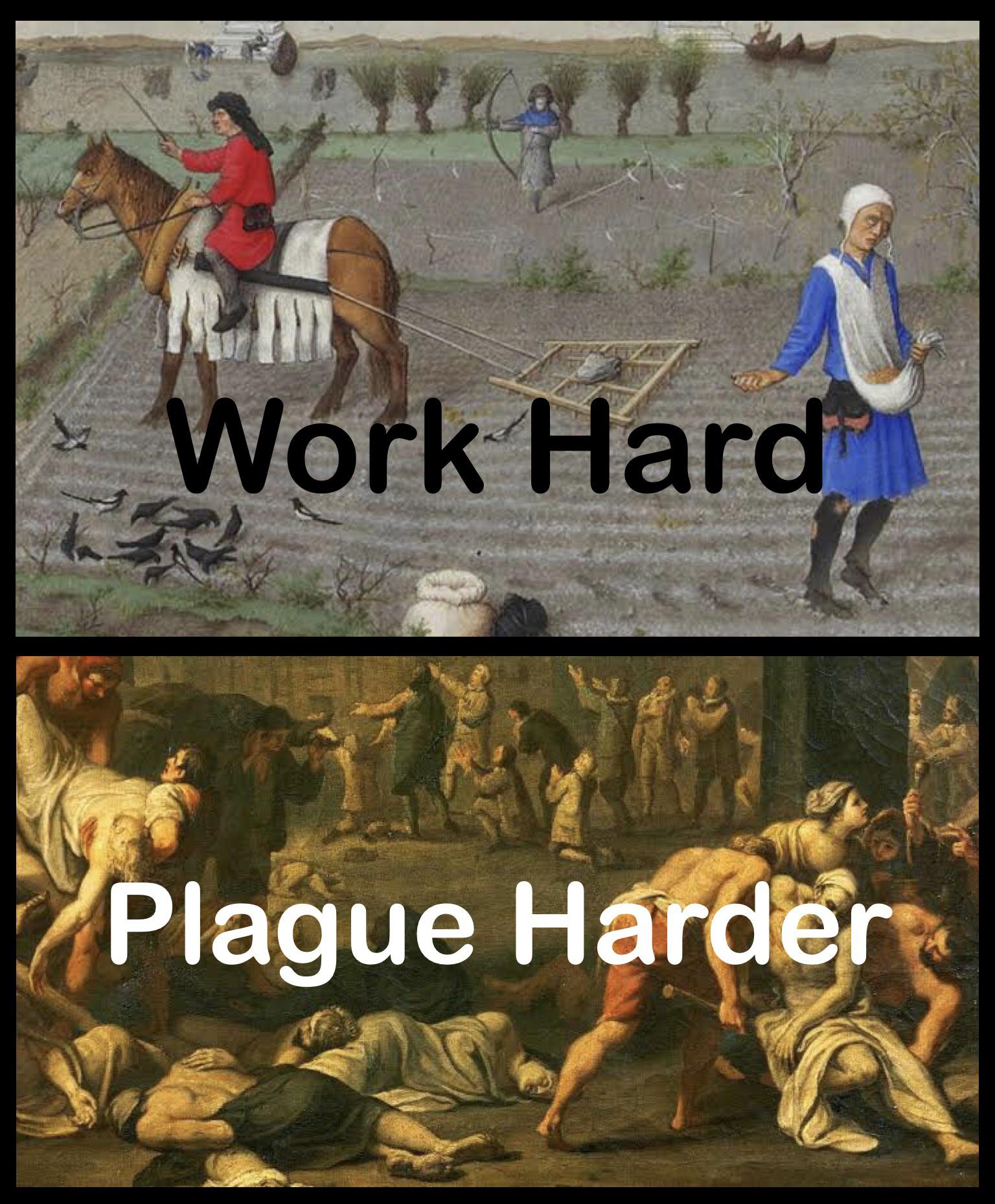 Work Hard, Plague Harder | Scrolller