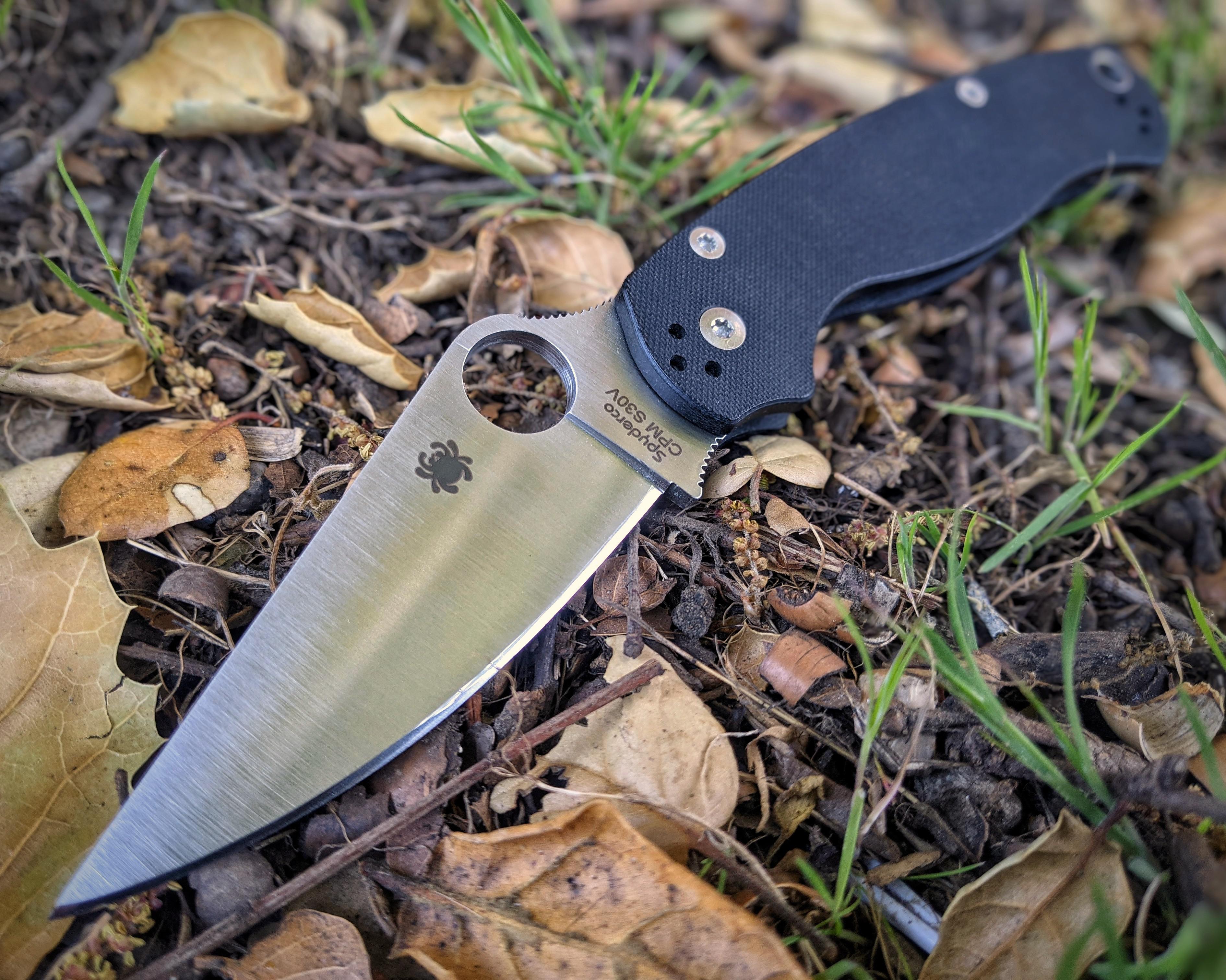 Workhorse Wednesday. | Scrolller