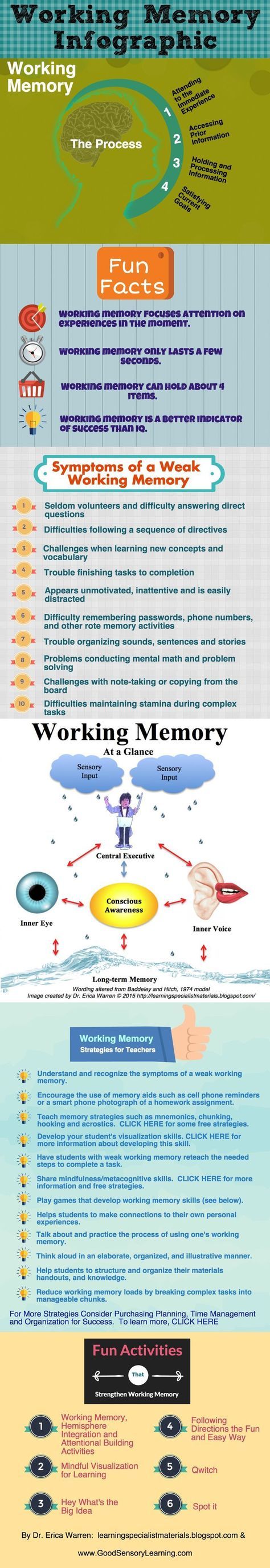 Working Memory: An Infographic | Scrolller