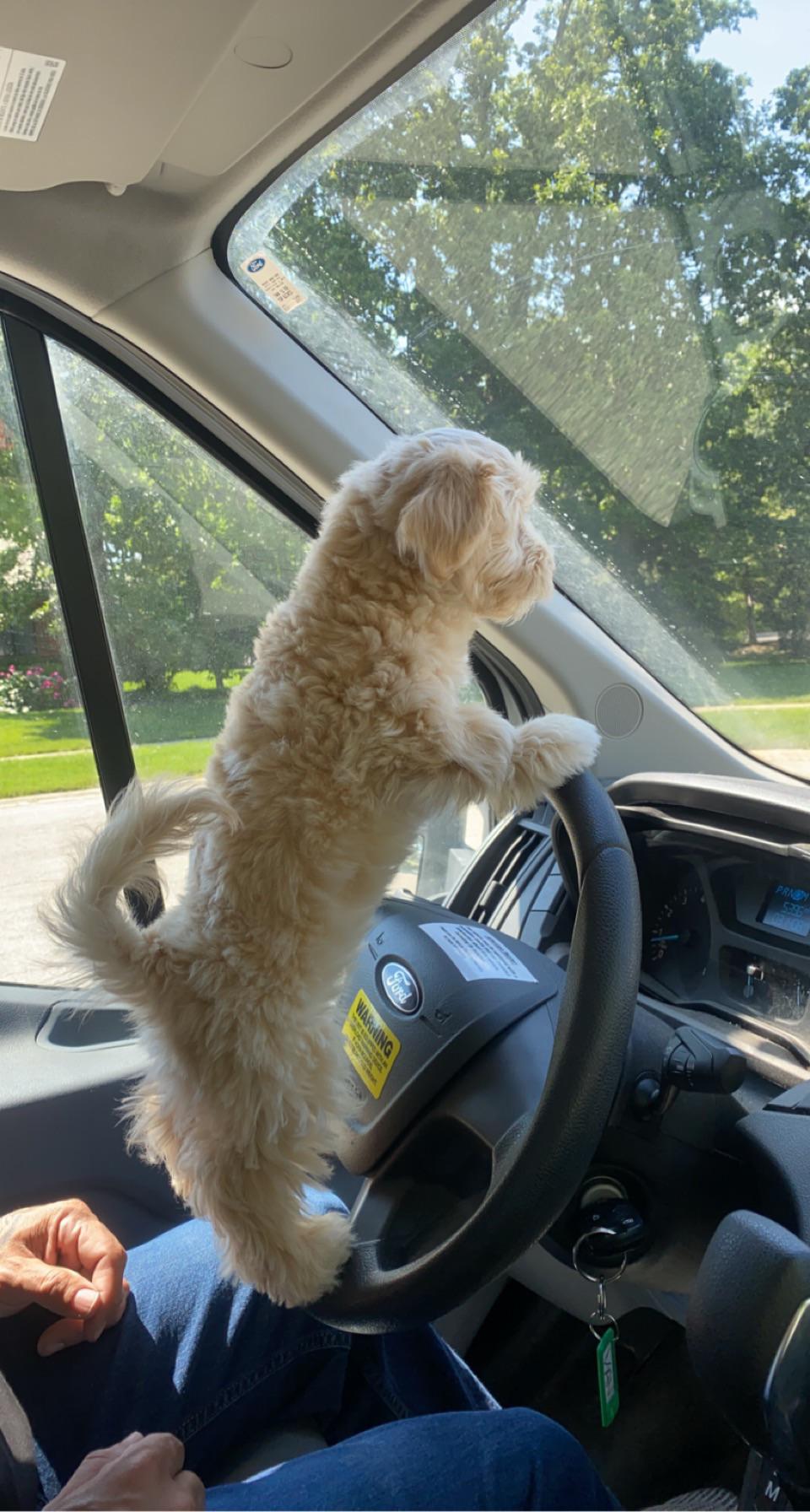 Worst Uber driver ever | Scrolller