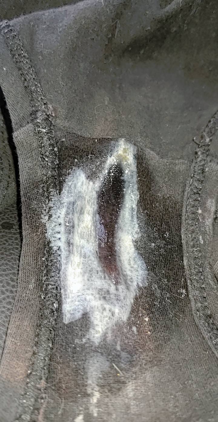 Wowmoms Creamy Panties π
Scrolller