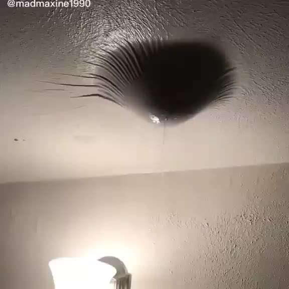 r/blursed Ceiling nipple | Scrolller