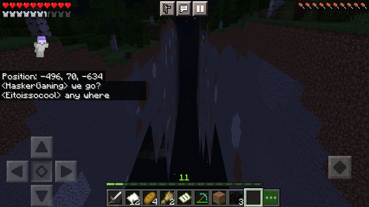 Wtf. Is this a ravine or a glitch? | Scrolller