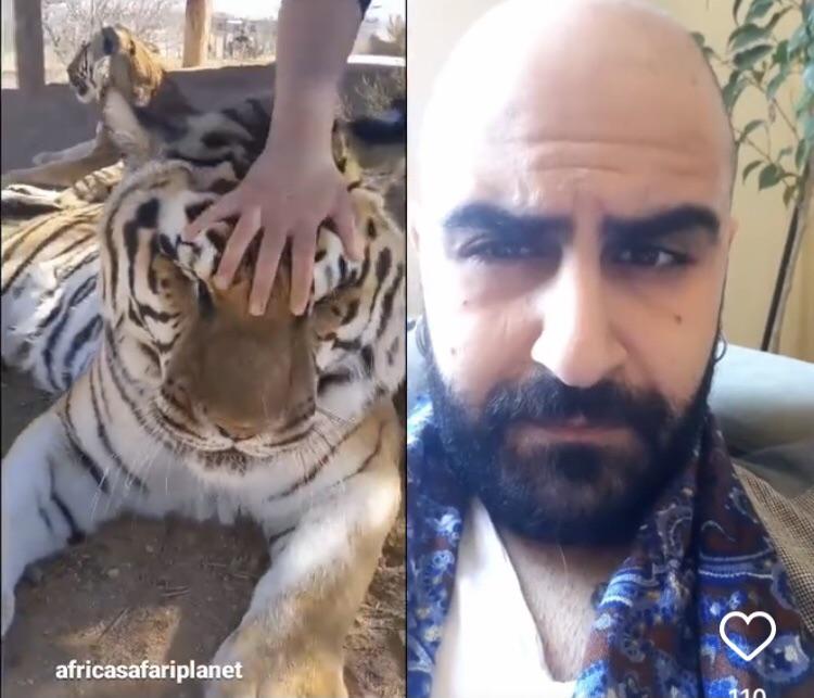 Wtf is this bald ken?😳😂 | Scrolller