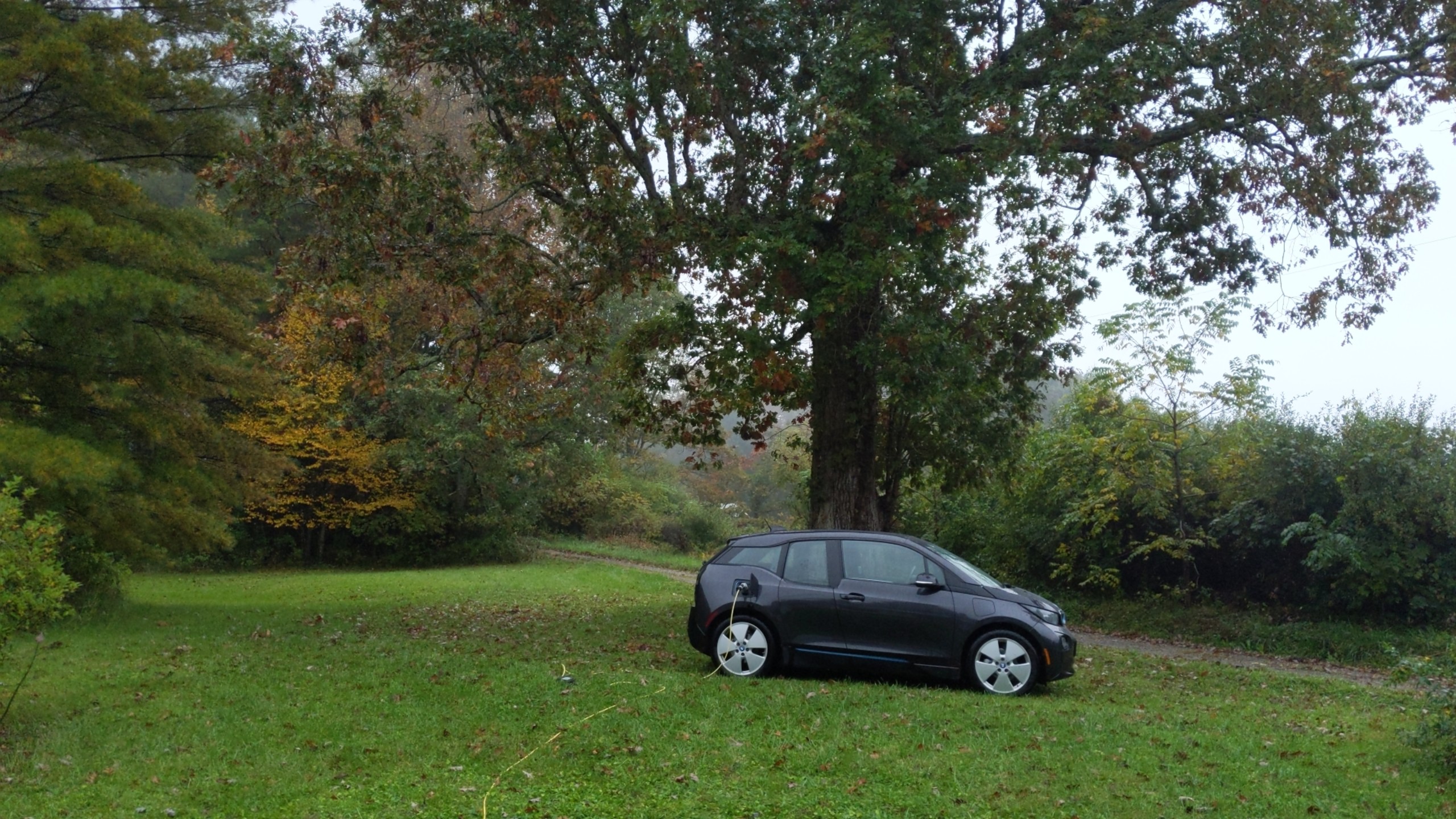 Ya know the good stuff | Scrolller