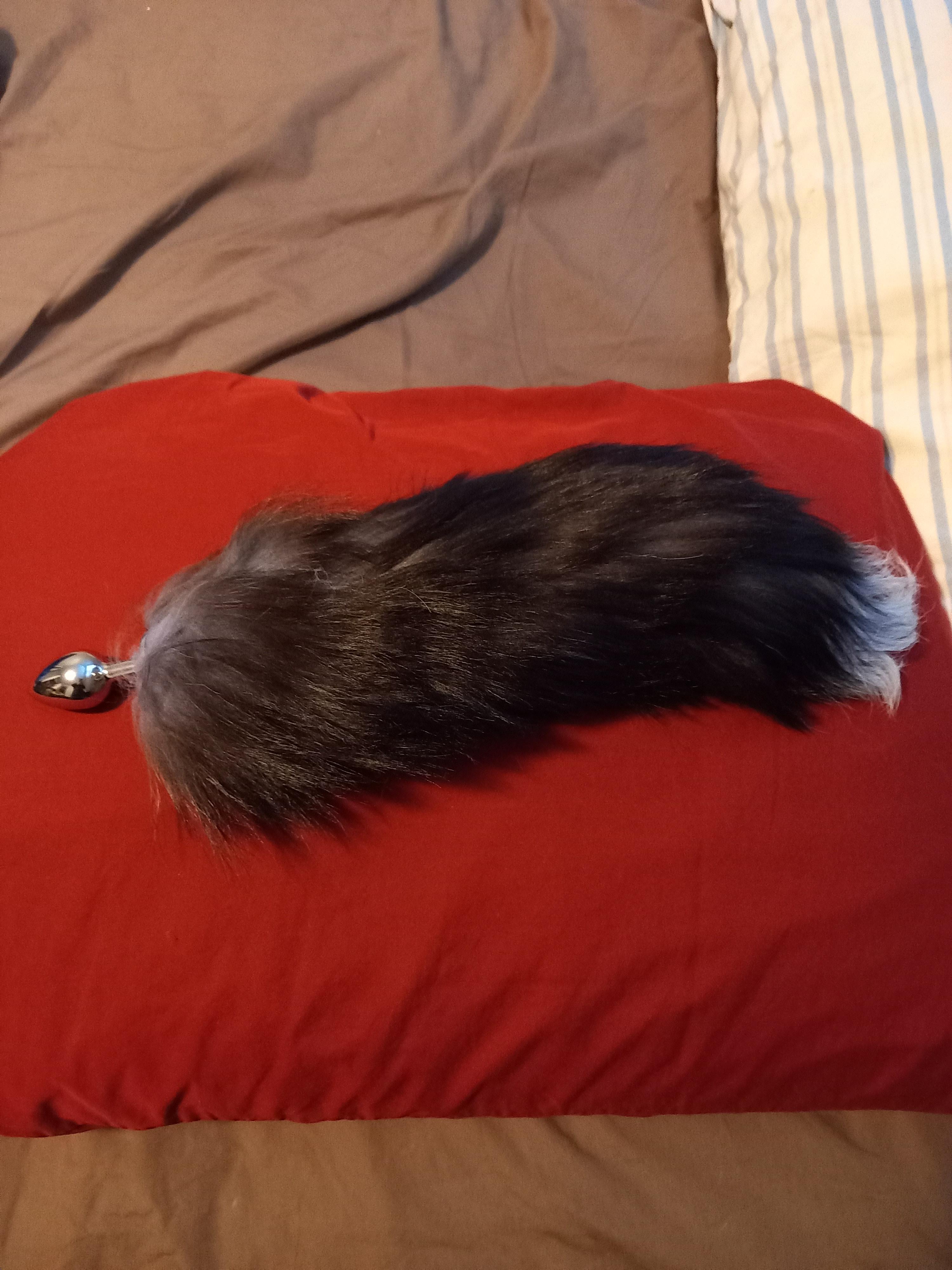 Yay! It showed up! | Scrolller