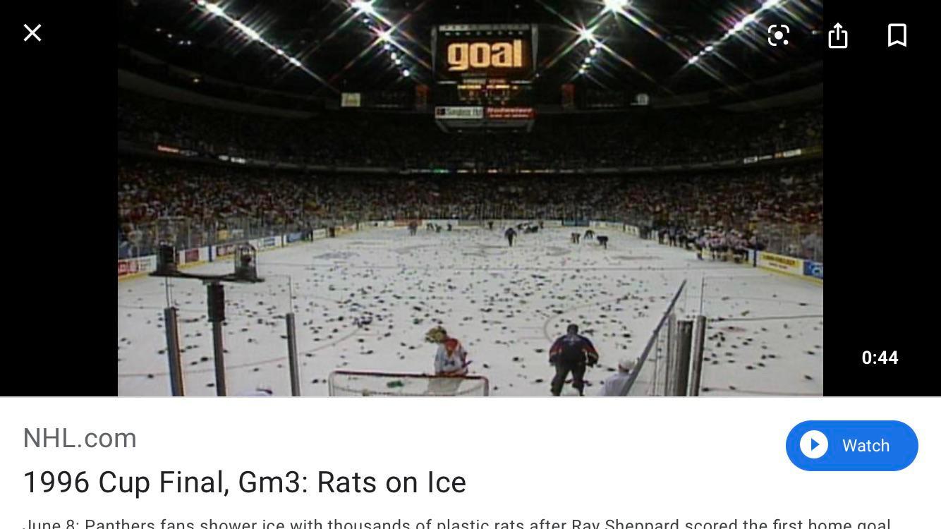 Year of the Rat | Scrolller