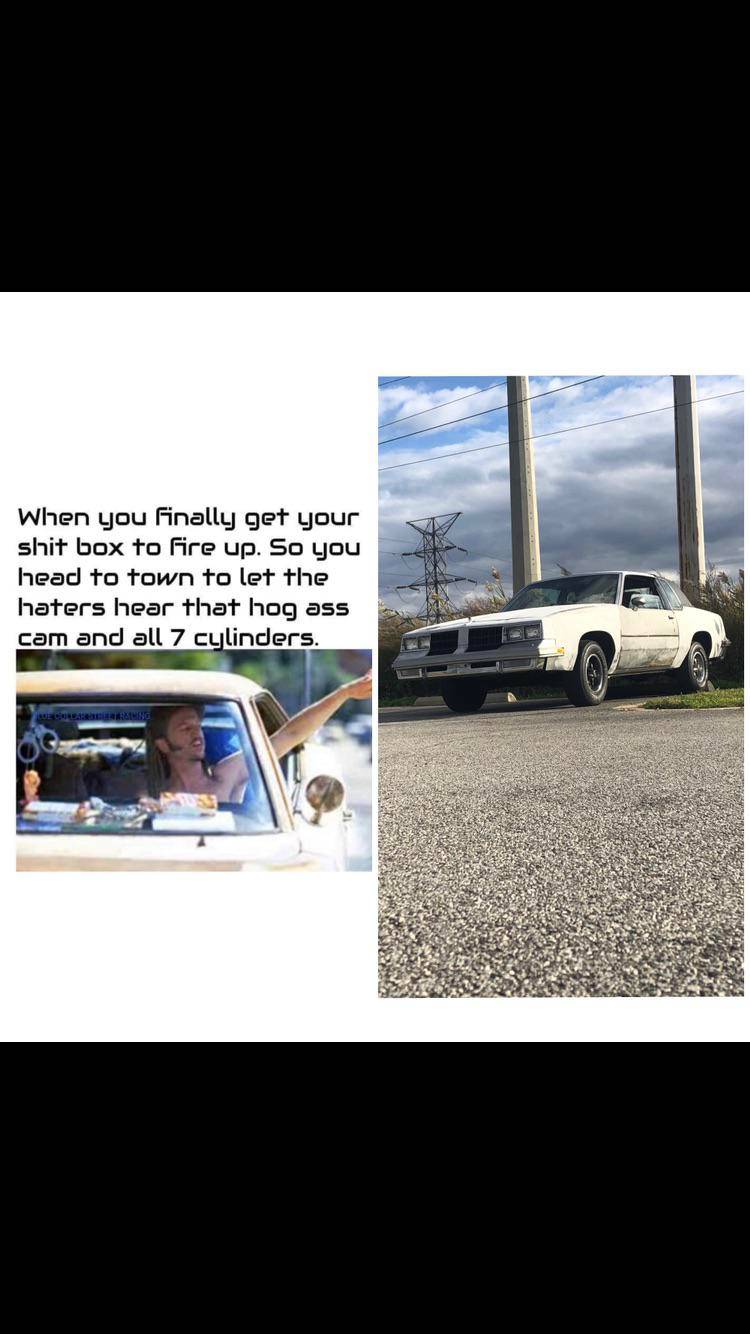 Yee yee yee live action 🇺🇸🏁 | Scrolller