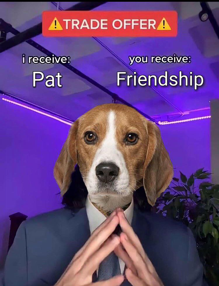 Yes or No | Scrolller