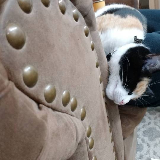 Yet another amusing position | Scrolller