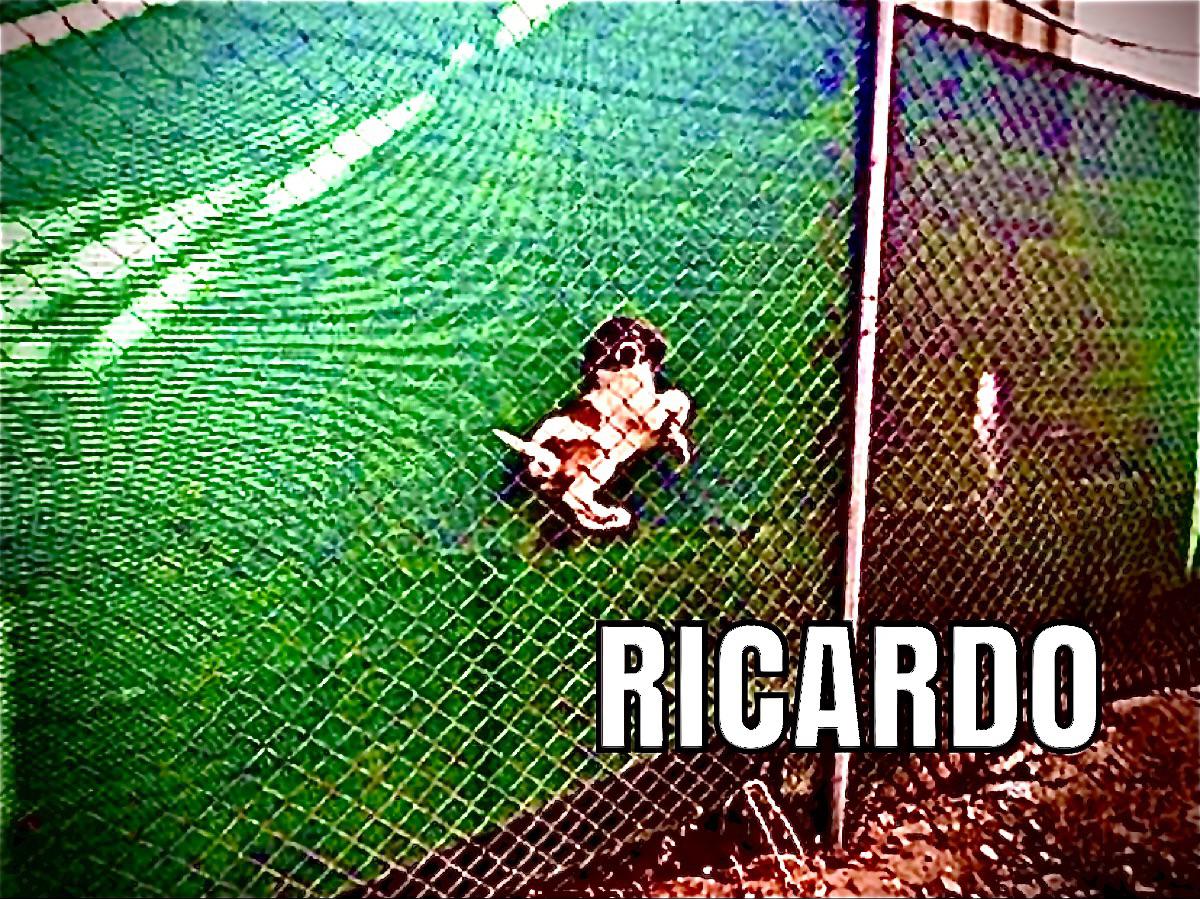 Yo soy el baño | Scrolller