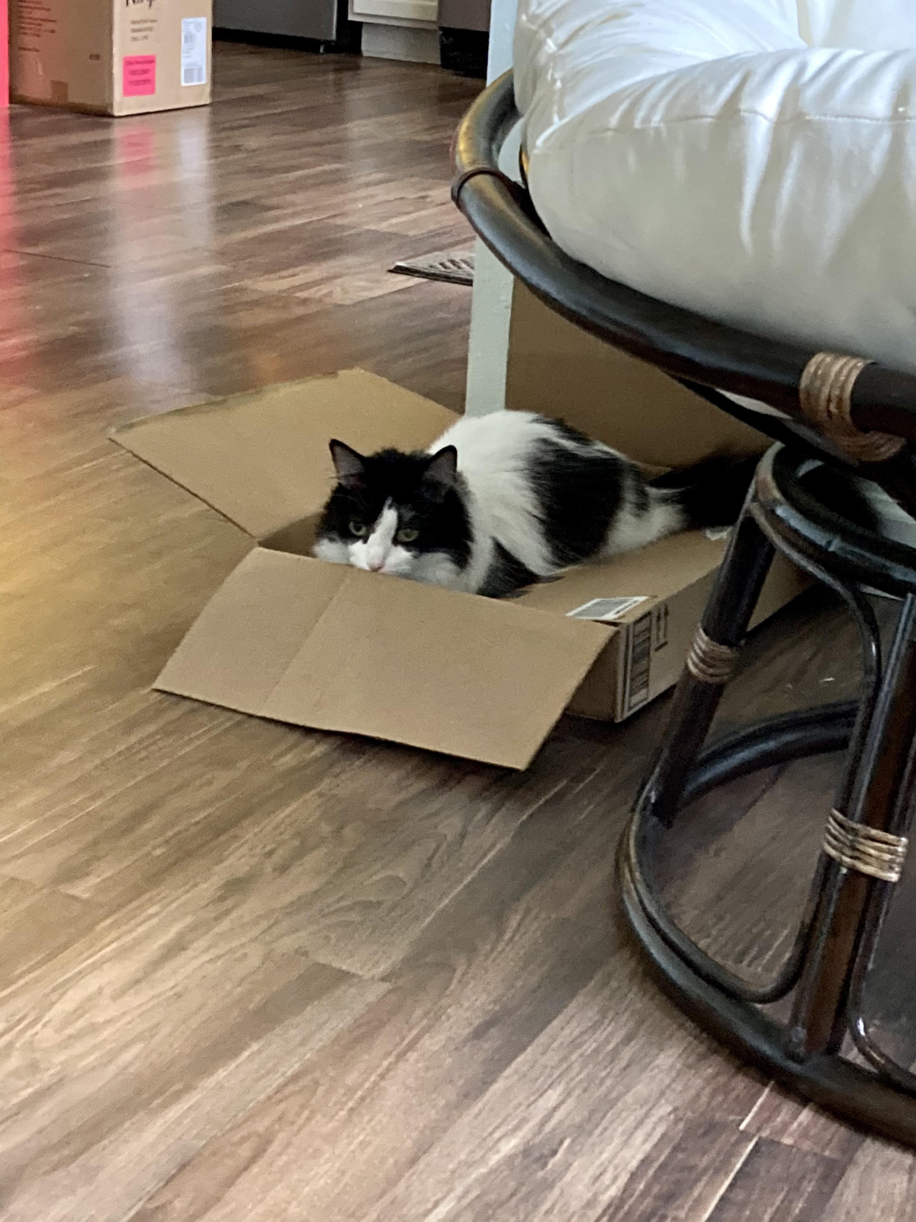 You can’t see him.... | Scrolller