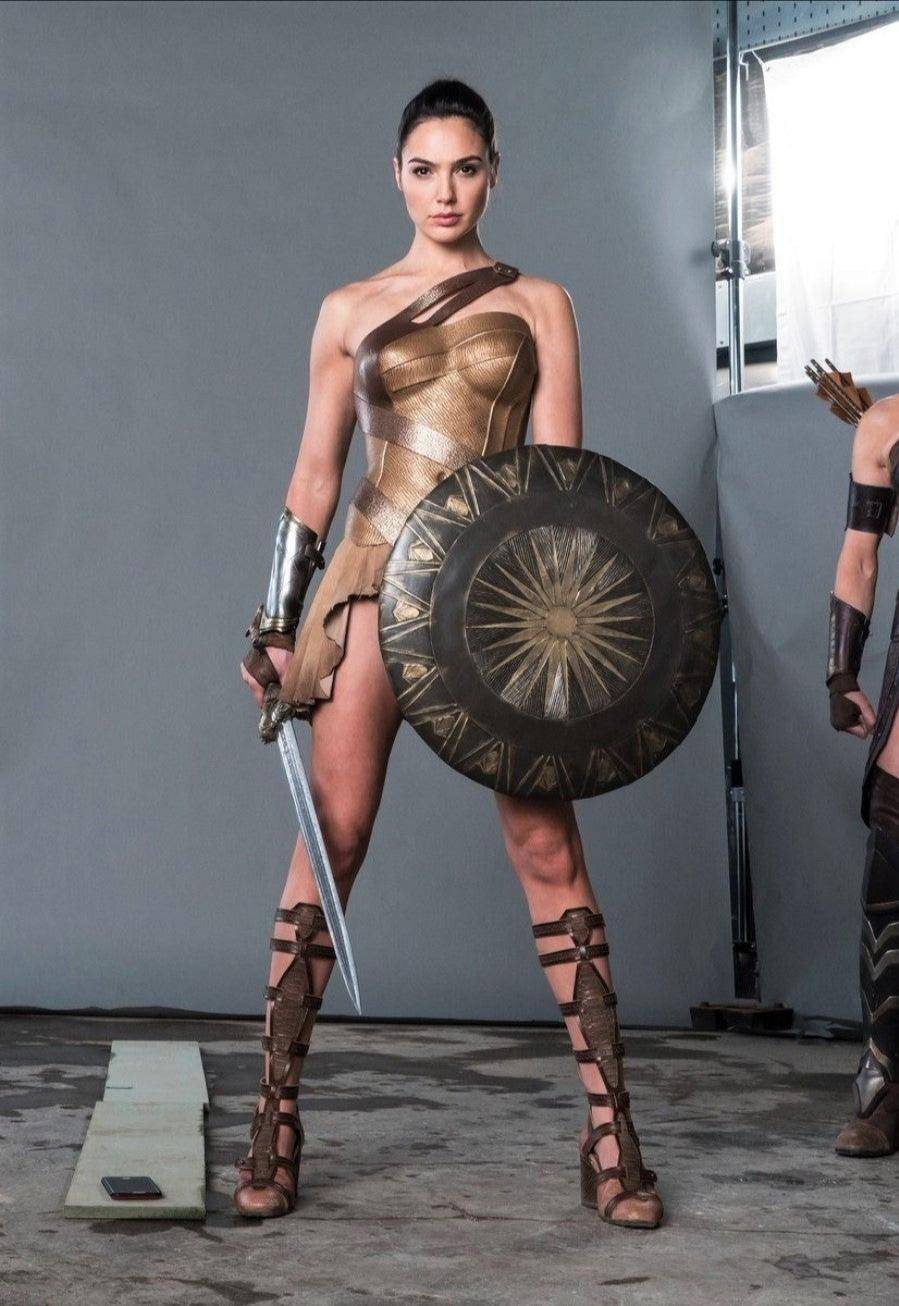 You can't see it, but behind that shield, Goddess Gal is wearing a big strap on and is just ...