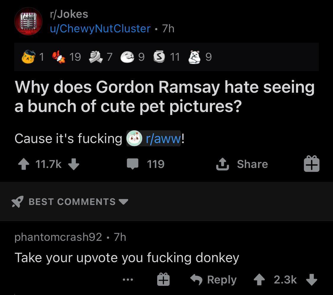 You fucking donkey | Scrolller