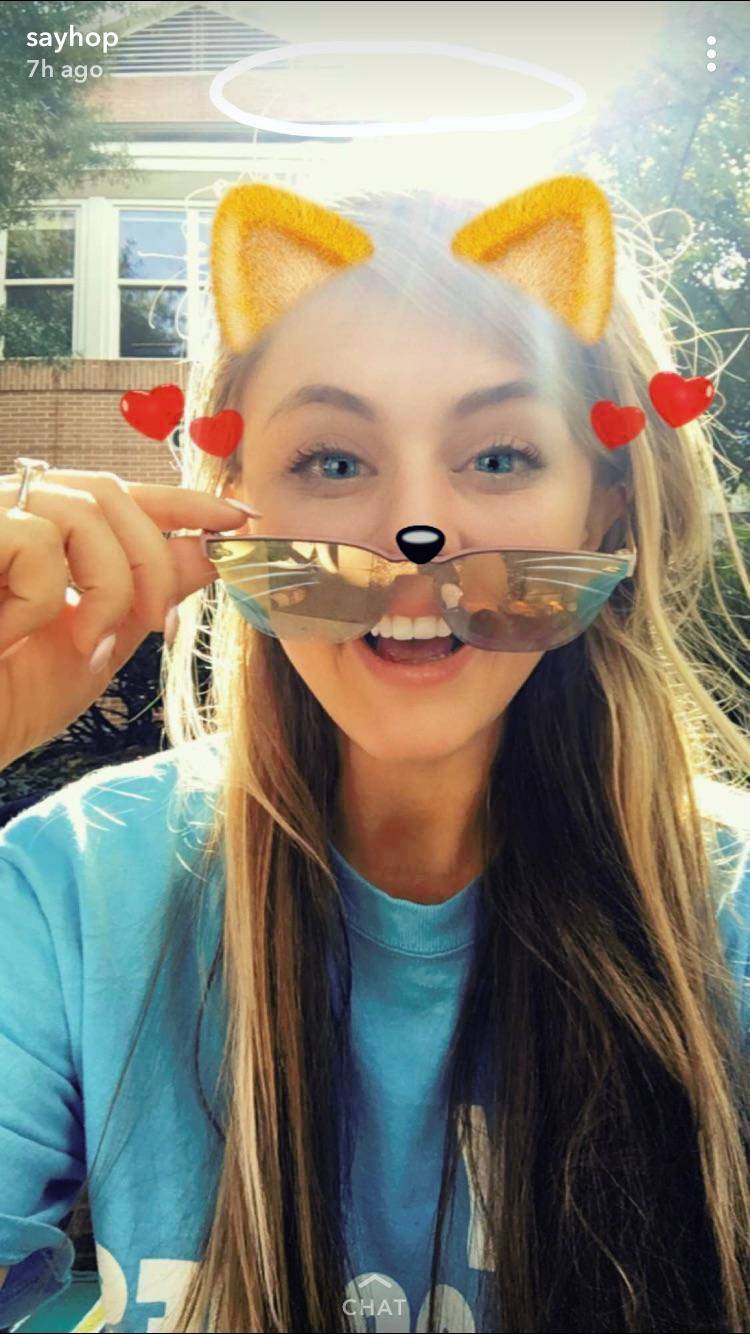 You kitten me right meow? | Scrolller