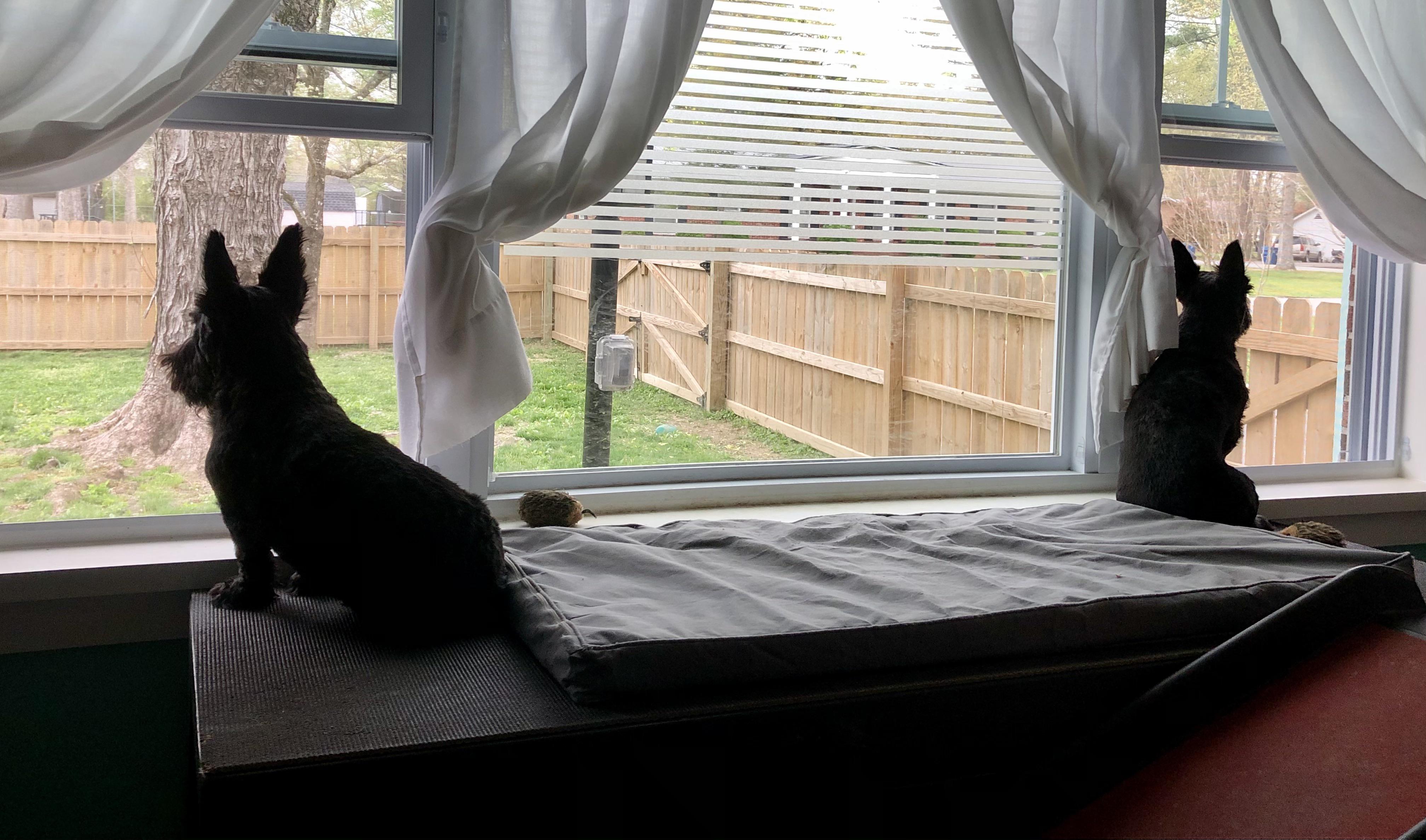 You take the right, I’ll take the left! | Scrolller