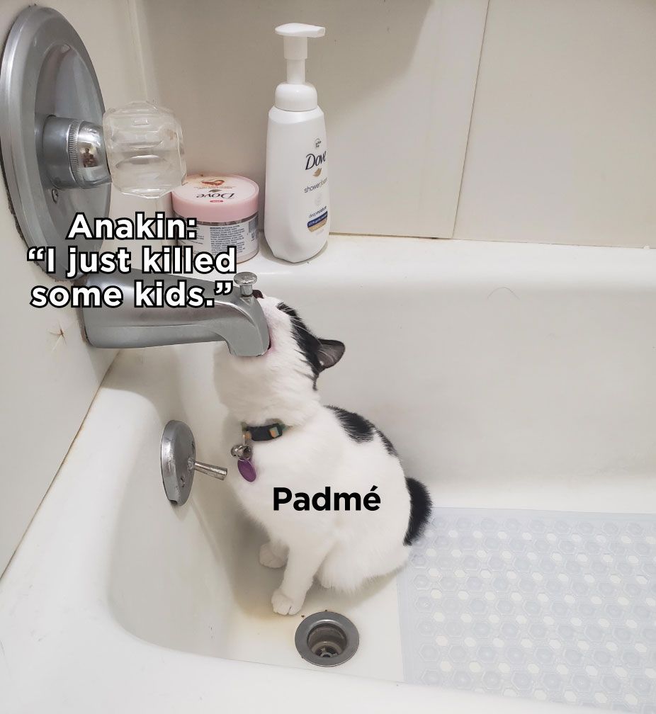 You the chosen one | Scrolller