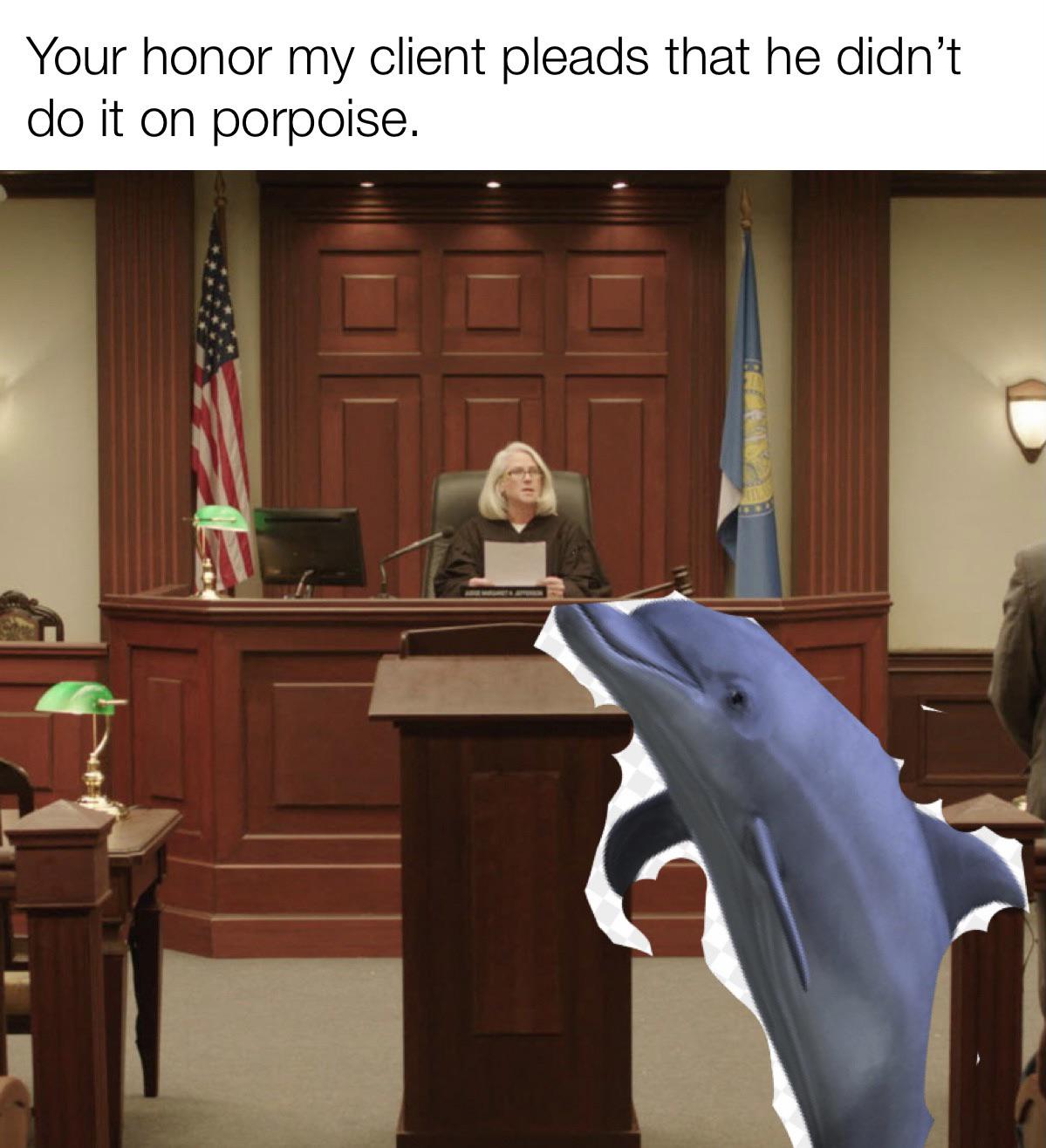 Your honor | Scrolller