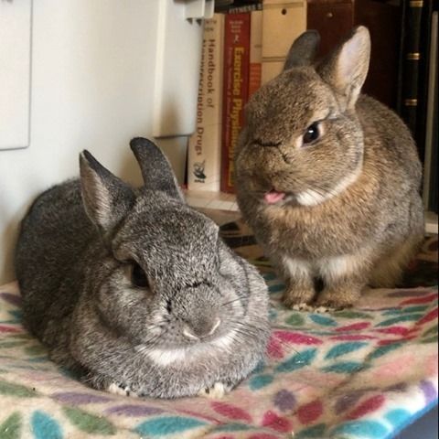 YOU'RE IN MY SPOT | Scrolller