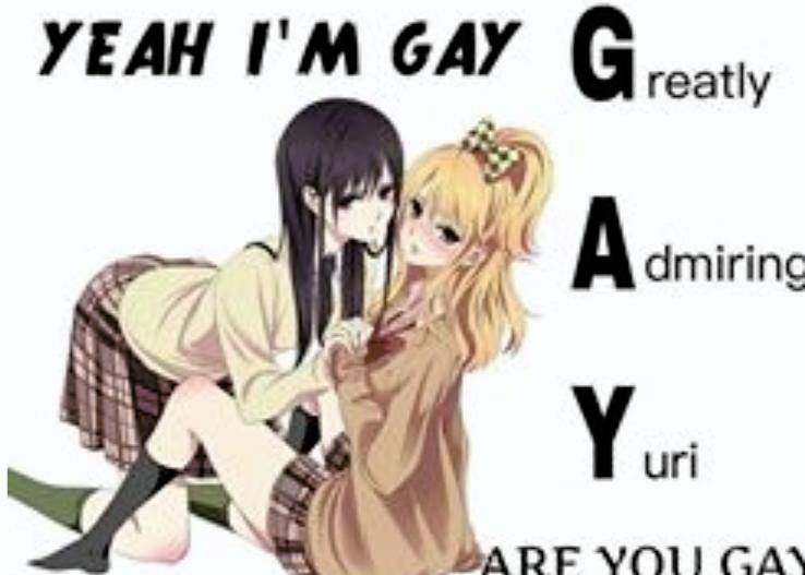 Yup I am definitely gay | Scrolller