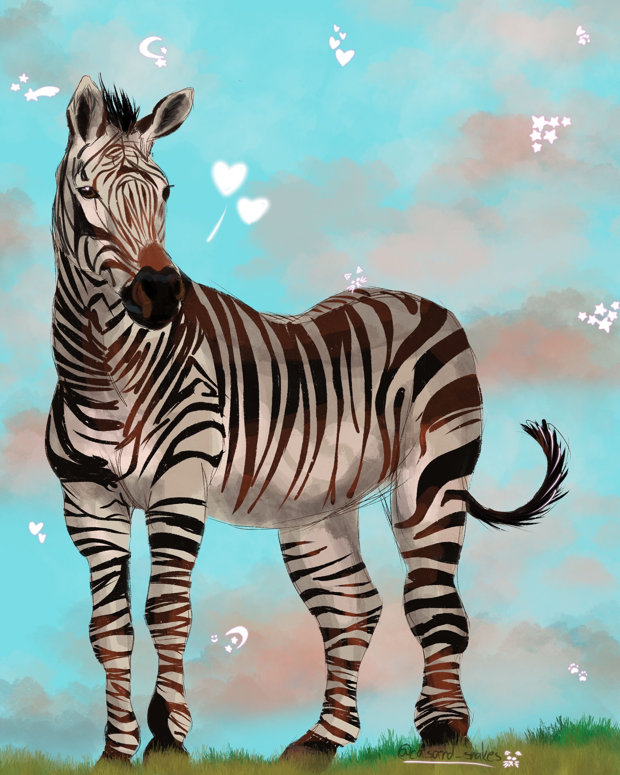 Zebra! | Scrolller