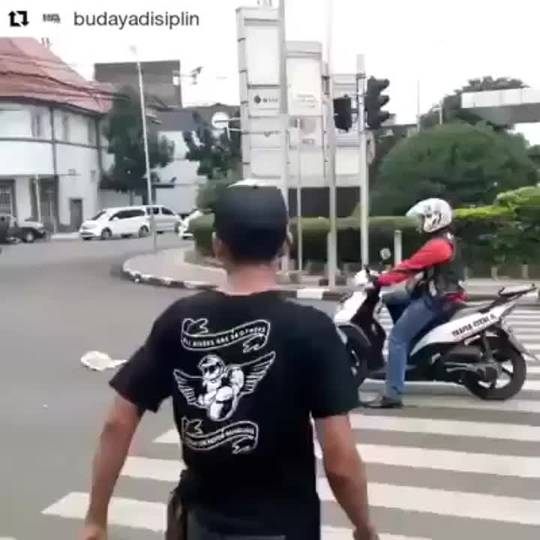 Zebra Crossing | Scrolller