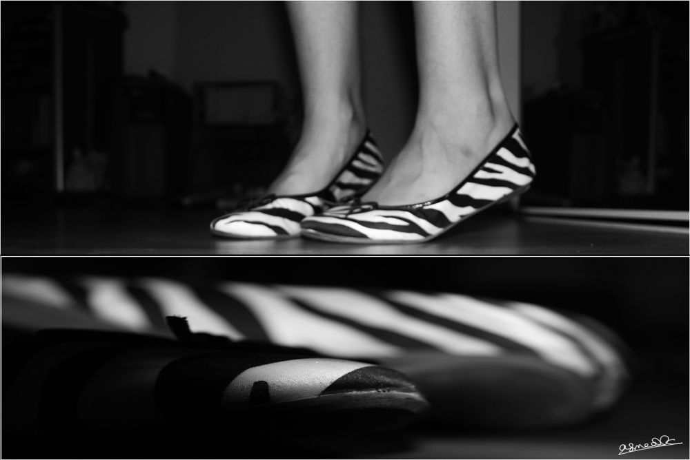 Zebrastripes | Scrolller