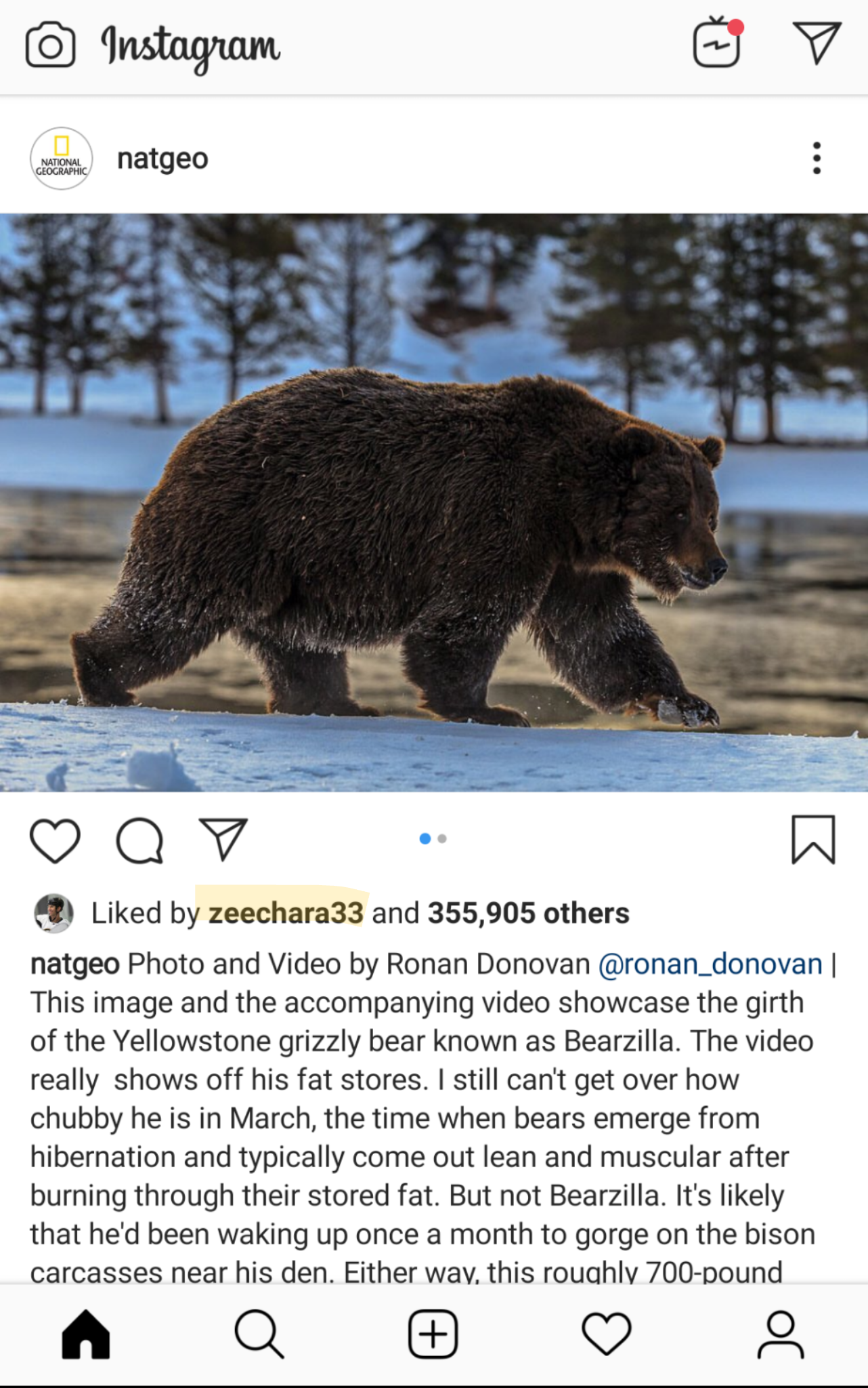 Zee just casually ♥️-ing photos of bruins on IG. | Scrolller