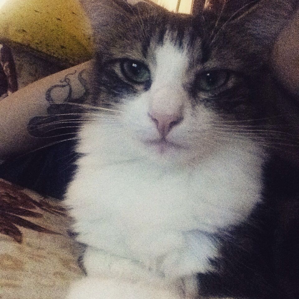 Zora does not look amused | Scrolller