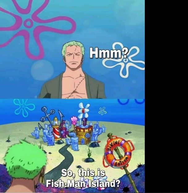 Zoro's lost again........... | Scrolller