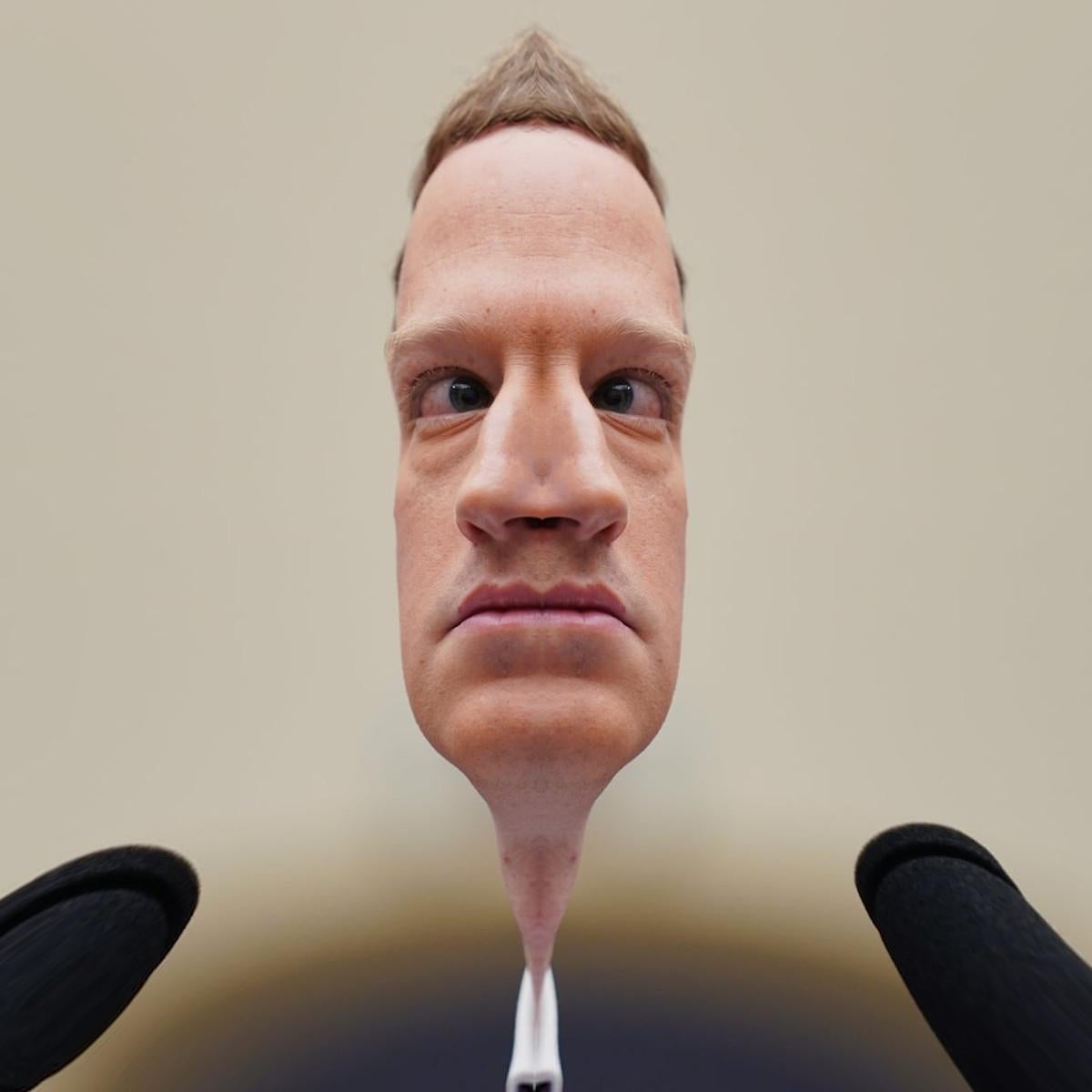 Zucc be looking like a bugfacer ngl | Scrolller