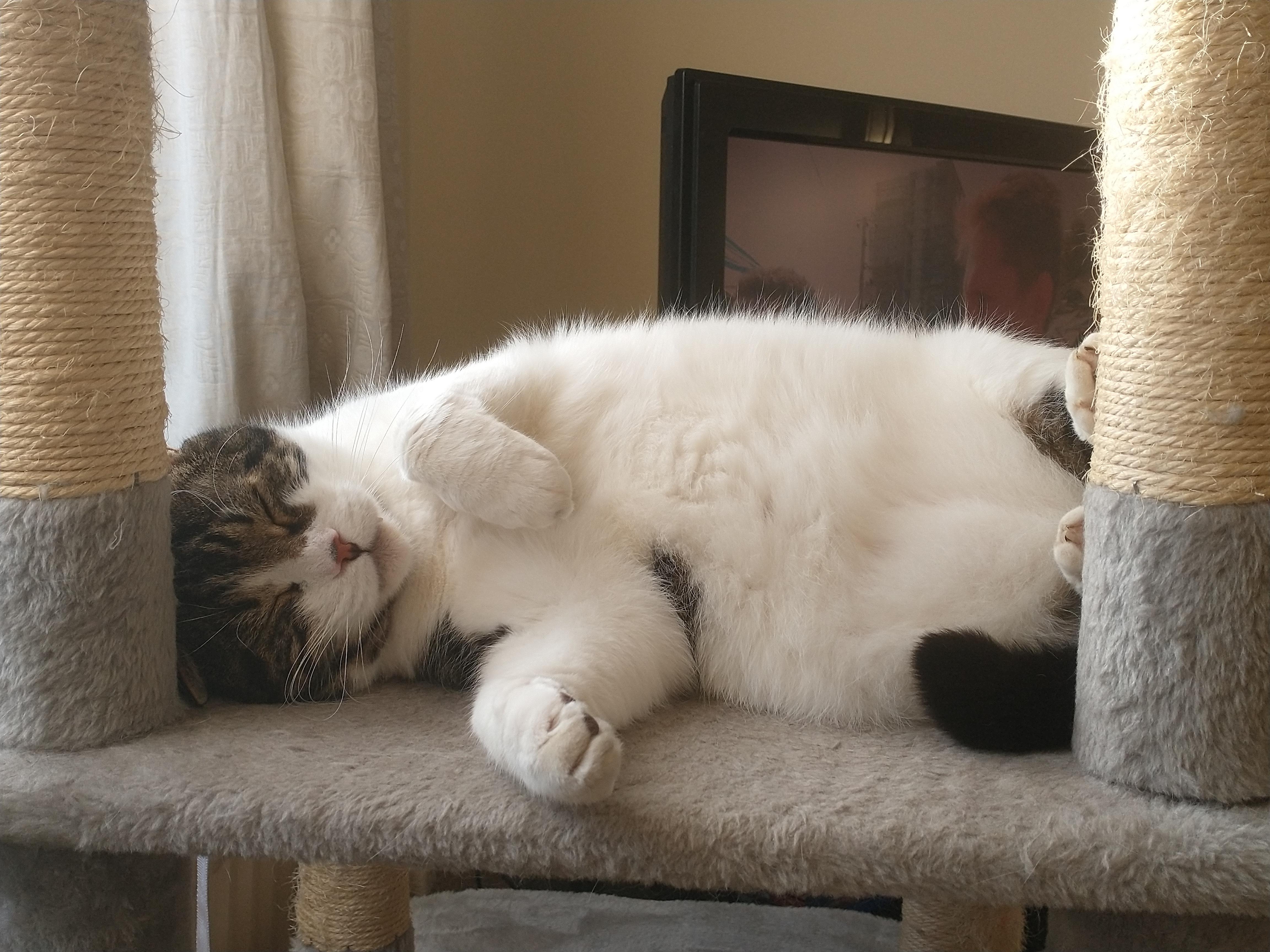 Zzzzzzzz | Scrolller