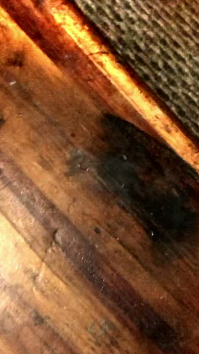 Slow motion solo cumshot (m35) | Scrolller