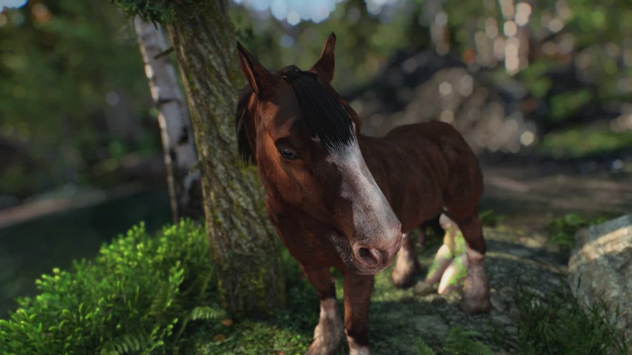 Discover more like NSFWskyrim: Depth of Field and Related Content | Scrolller