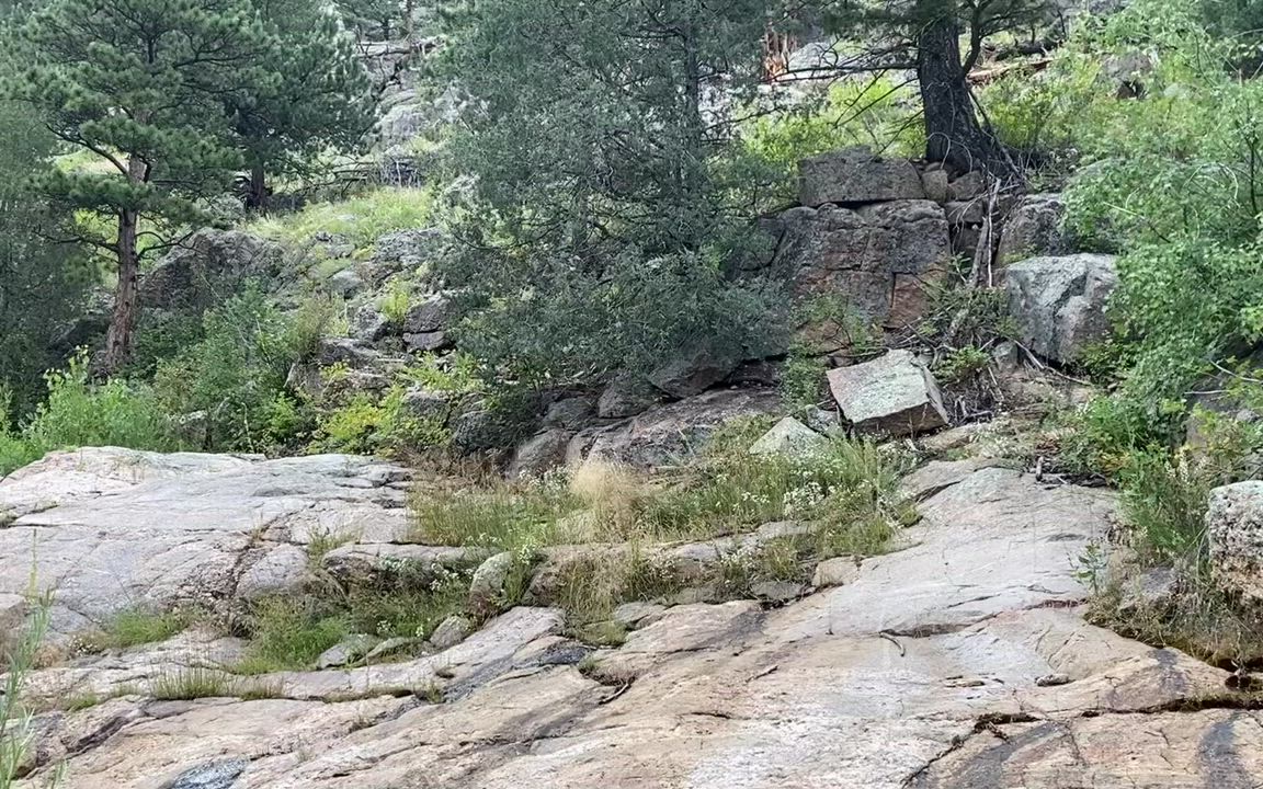 The rain felt nice on my naked walk thru the canyon. | Scrolller