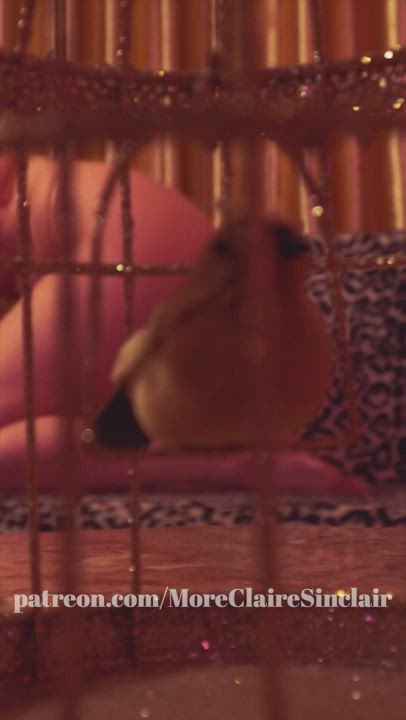 Perfect pair | Scrolller