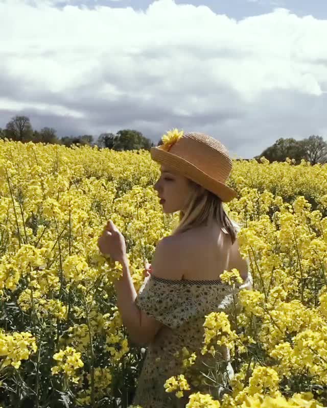 Flower Field | Scrolller